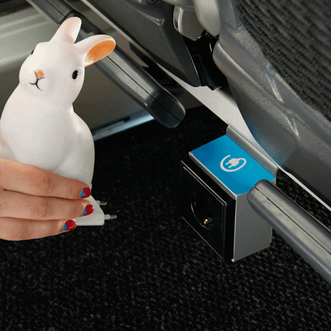 Travel Bus GIF by OUIBUS - Find & Share on GIPHY
