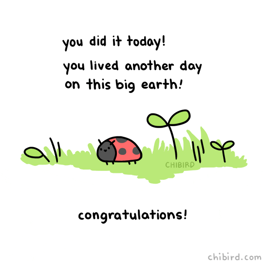 Bug Congratulations GIF by Chibird - Find & Share on GIPHY