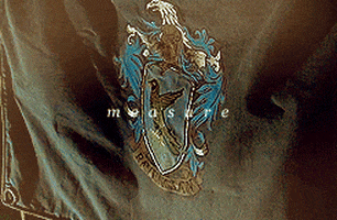 Ravenclaw GIFs - Get the best GIF on GIPHY
