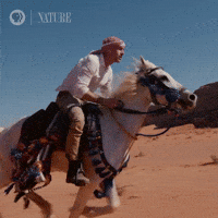 Galloping Horse Gif