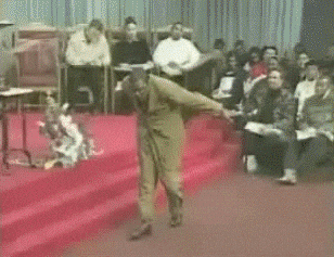 Fly Fly Away GIFs - Get the best GIF on GIPHY