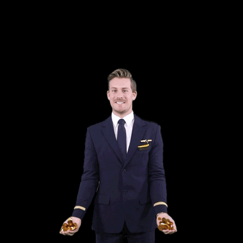 Flightattendant GIFs - Get the best GIF on GIPHY