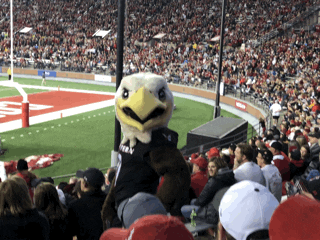 Football Yes GIF by Eastern Washington University - Find & Share on GIPHY