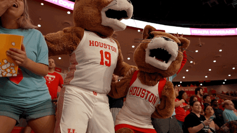 Sasha Go Coogs GIF by University of Houston - Find & Share on GIPHY