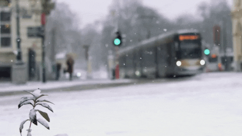 Snow Belgium GIF by STIBMIVB - Find & Share on GIPHY
