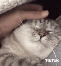 Cuddling Gif