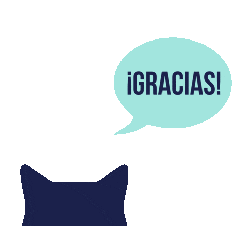 Gracias Gatito Gif