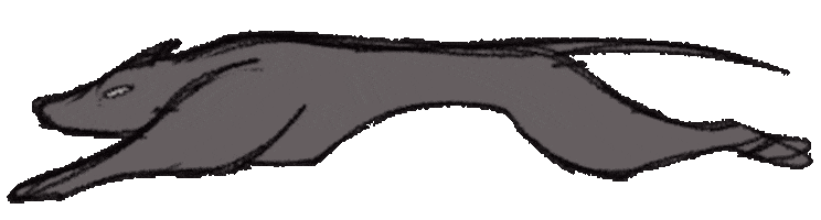 Dog Run Sticker by Nico for iOS & Android | GIPHY