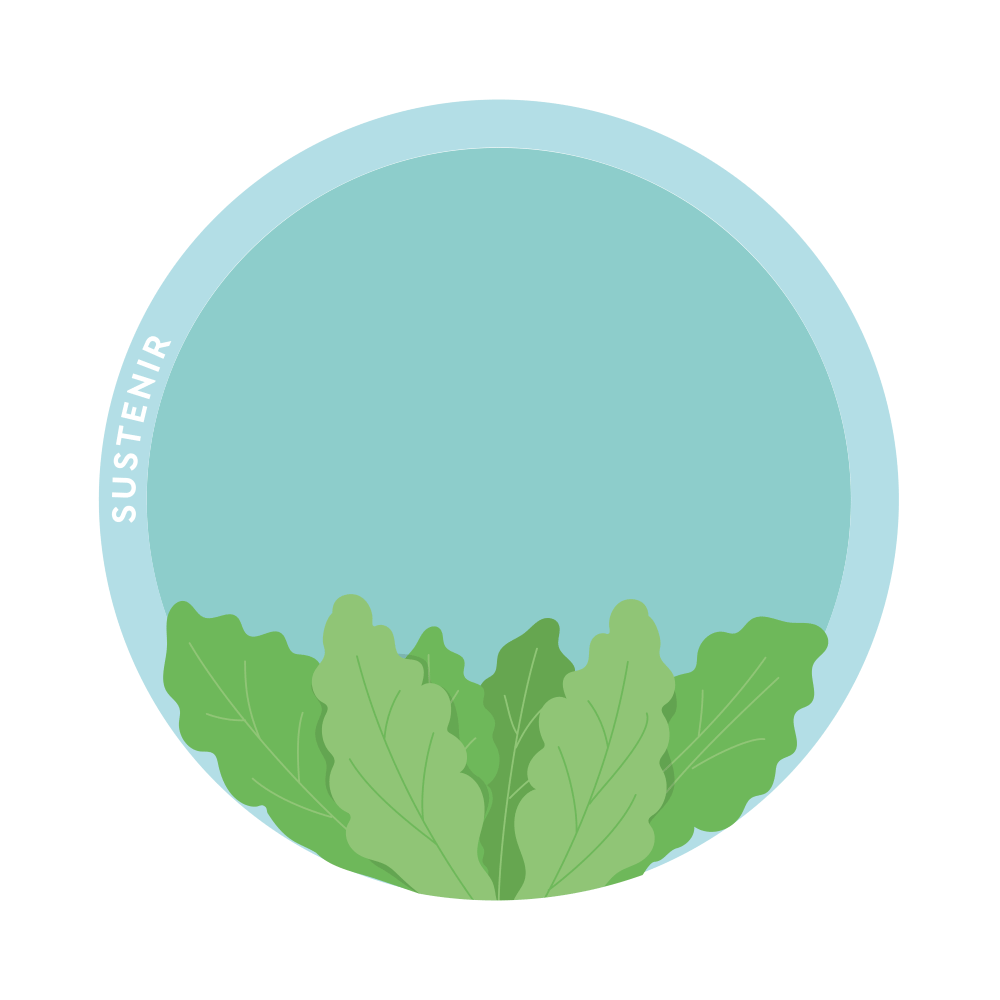 Kale Sticker by Sustenir for iOS & Android | GIPHY
