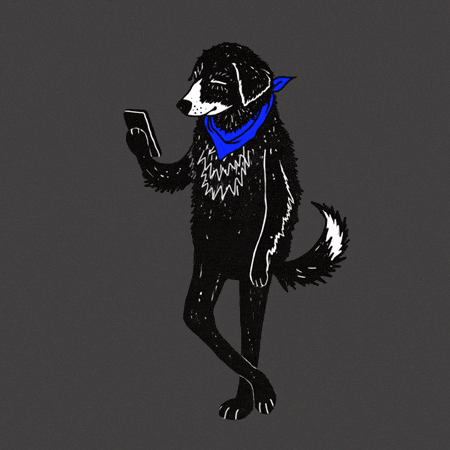 Dog Texting GIFs - Get the best GIF on GIPHY