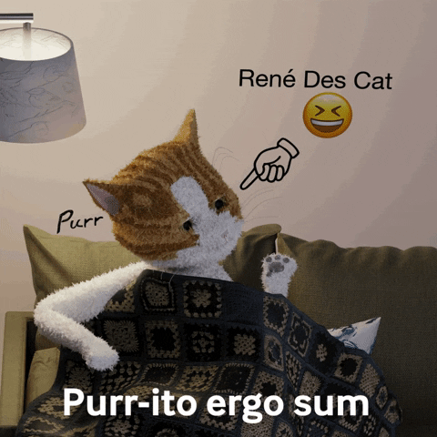Gato Pun GIFs - Get the best GIF on GIPHY