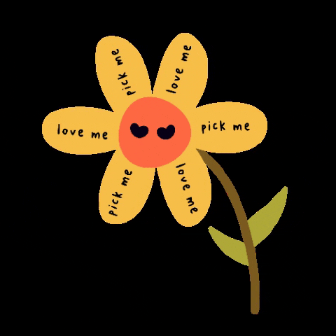 Pick Me Pick Me GIFs - Find & Share on GIPHY