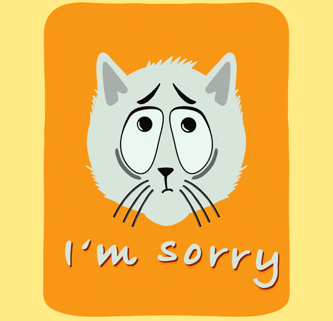 Cat Sorry GIFs - Get the best GIF on GIPHY