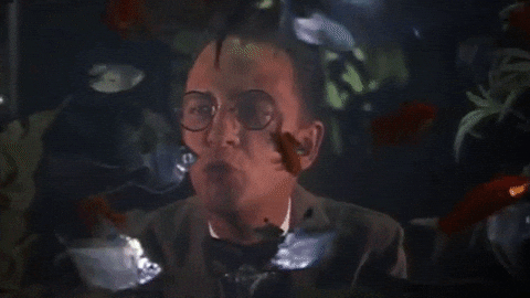 Mr Limpet GIFs - Get the best GIF on GIPHY