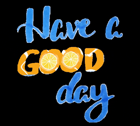Goodday GIF - Find & Share on GIPHY