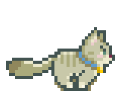 Cat Pixel Gif