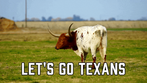 Texans Win GIFs - Get the best GIF on GIPHY