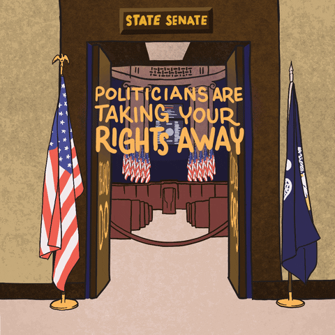 American Flag Politics GIF by INTO ACTION - Find & Share on GIPHY