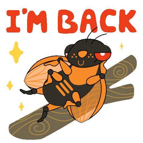 Cicadas by Bare Tree Media | GIPHY