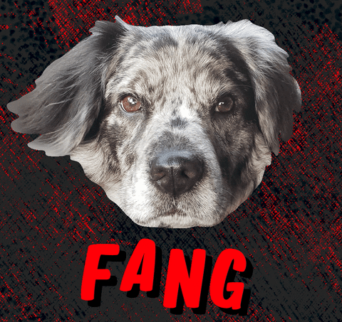 Fang GIFs - Get the best GIF on GIPHY