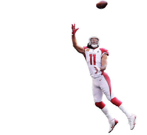 Arizona Cardinals Football Sticker by NFL for iOS & Android | GIPHY