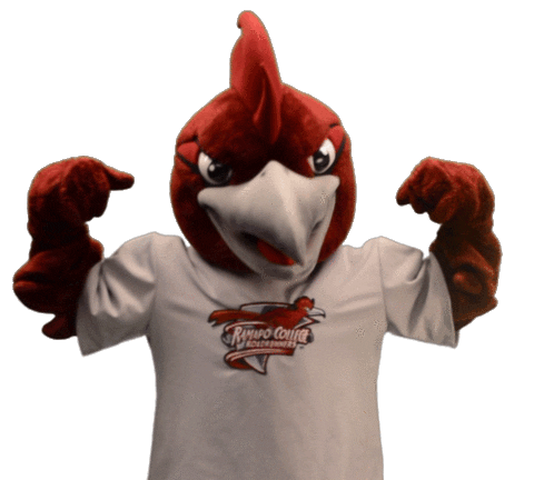 Mascot Roadrunner Sticker by Ramapo College of New Jersey for iOS ...