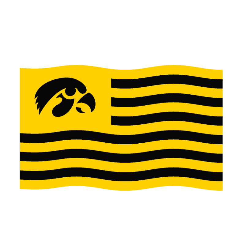 Hawkeyes Hawkeyepride Sticker by University of Iowa for iOS & Android ...