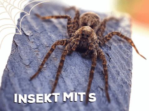Scary Animal GIFs - Get the best GIF on GIPHY