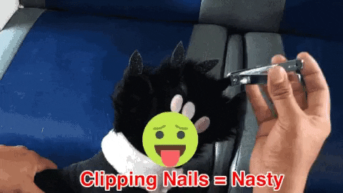 Clip-nail GIFs - Get the best GIF on GIPHY