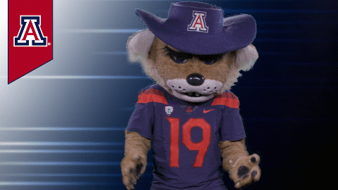 University Of Arizona GIF by College Colors Day - Find & Share on GIPHY