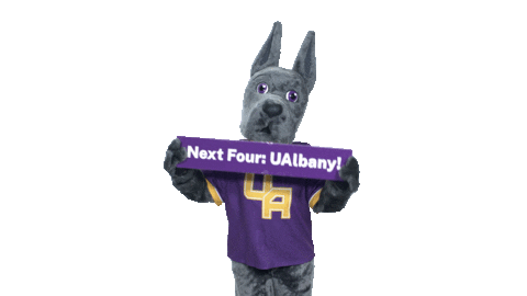 Damien the Great Dane by UAlbany | GIPHY