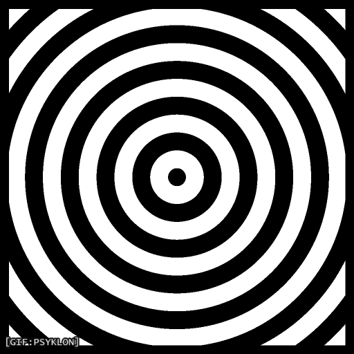 Loop Circle GIF by Psyklon - Find & Share on GIPHY