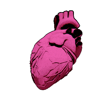 Sam Roberts Band GIFs on GIPHY - Be Animated