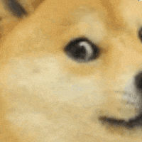 Doge Intensifies Gif