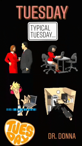 Busy Tuesday GIFs - Get the best GIF on GIPHY