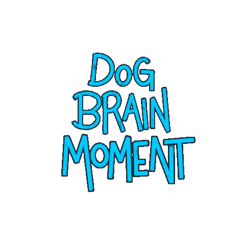 Alexa, Bark GIFs on GIPHY - Be Animated