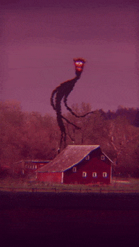 Barn Owl Gif Animated