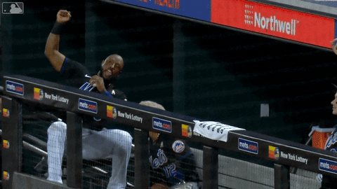 Ny Mets Cheer GIF by New York Mets - Find & Share on GIPHY