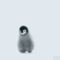 Penguin Walk Gif
