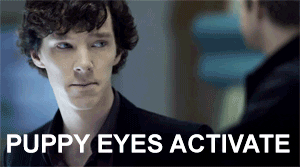 Need Moar Gif