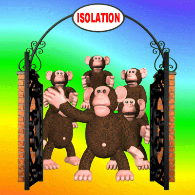 Isole GIFs - Get the best GIF on GIPHY