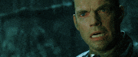 Gif De Risa Del Agente Smith Agent Smith GIFs Find & Share On GIPHY
