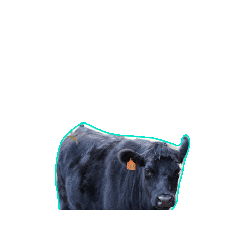 Alien Business Merch GIFs on GIPHY - Be Animated