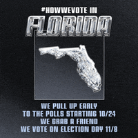 7 GIFs for Florida Register to Vote by #GoVote | GIPHY