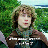 Sam-and-frodo GIFs - Get the best GIF on GIPHY
