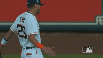 Houston Astros GIFs on GIPHY - Be Animated