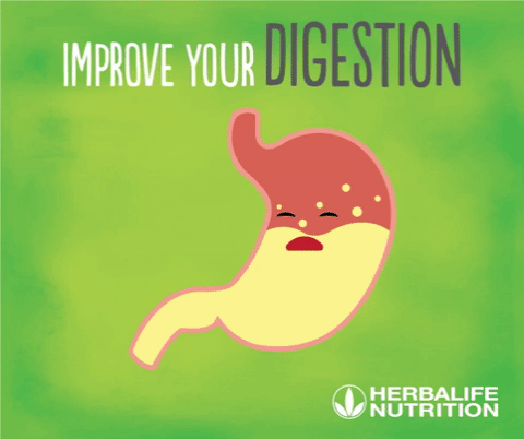 Healthy Digestion GIFs - Get the best GIF on GIPHY