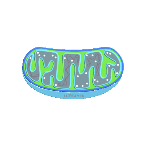 Energy Cell Sticker by Luxxamed GmbH for iOS & Android | GIPHY