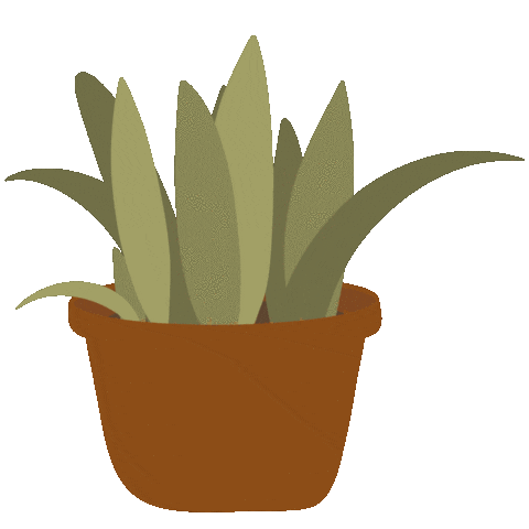 Growing Plant Gif