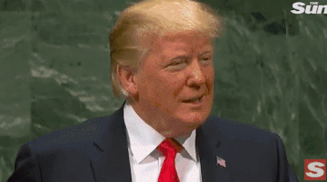 Trump Sun GIFs - Find & Share on GIPHY